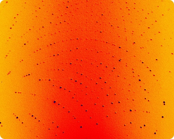 Neutrons key to discovering new HIV drugs? An interview with Dr Matthew Blakeley